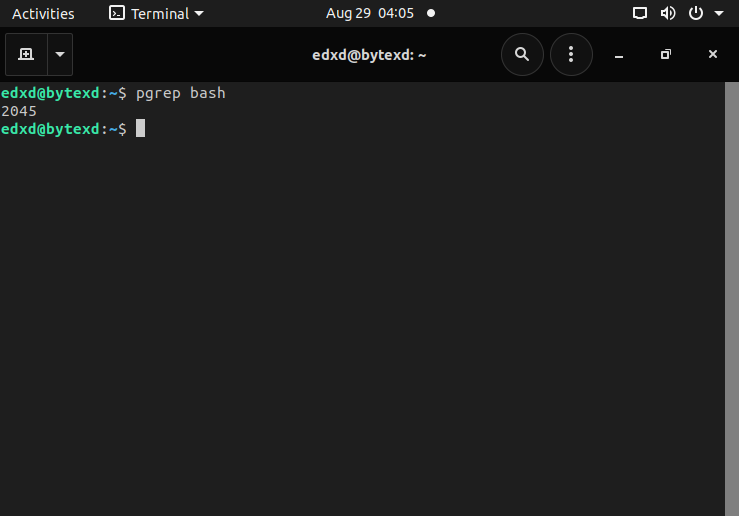 Working With The Pkill And Pgrep Commands In Linux Bytexd