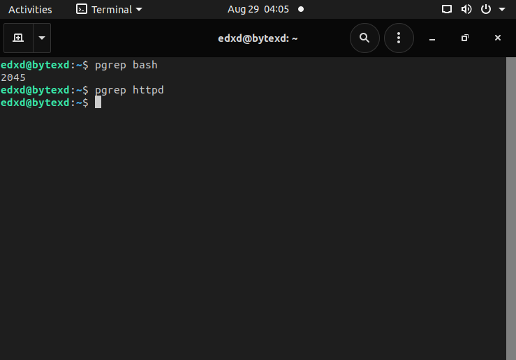 Working With the Pkill and Pgrep Commands in Linux - ByteXD