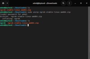 Introduction to Ngrok: A Tutorial for Beginners - ByteXD