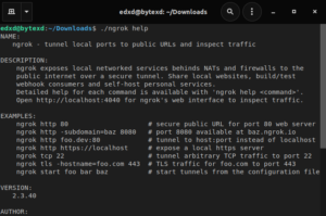 Introduction to Ngrok: A Tutorial for Beginners - ByteXD