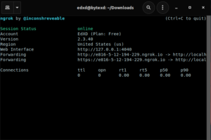 Introduction to Ngrok: A Tutorial for Beginners - ByteXD