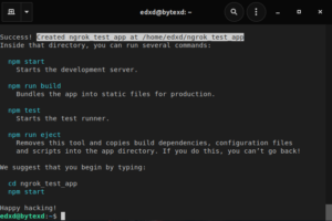 Introduction to Ngrok: A Tutorial for Beginners - ByteXD