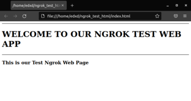 Introduction to Ngrok: A Tutorial for Beginners - ByteXD