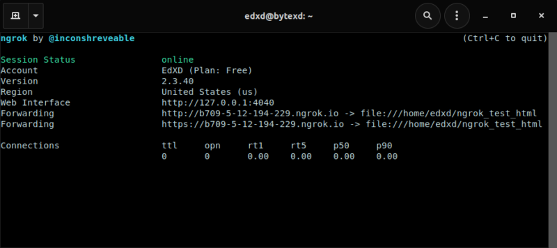 Introduction to Ngrok: A Tutorial for Beginners - ByteXD