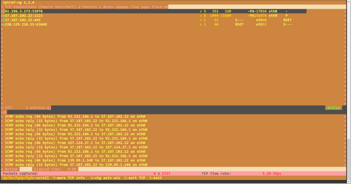 19 Commands to Monitor the Network Activity in Linux - ByteXD