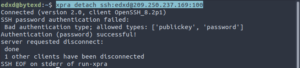 How to Use Xpra to Run Linux Applications Remotely - ByteXD