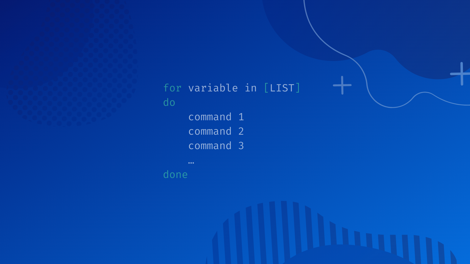 Bash For Loop ByteXD