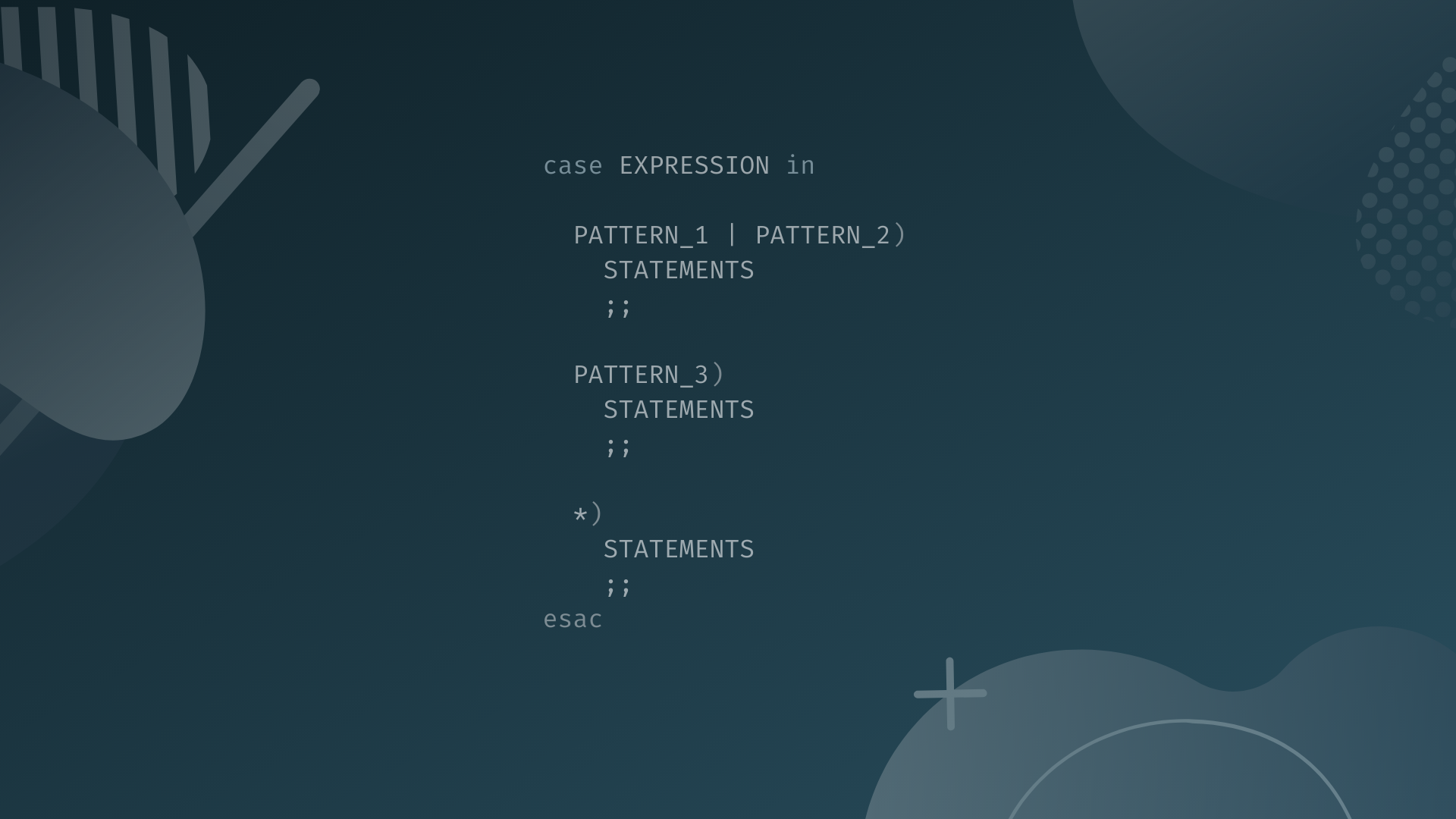 Bash Case Statement ByteXD