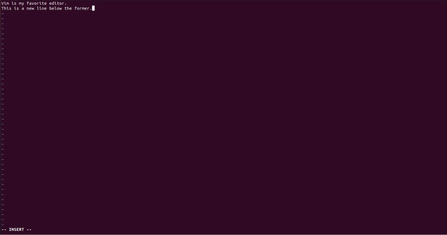 Vi vs Vim - Differences and Similarities Explained - ByteXD