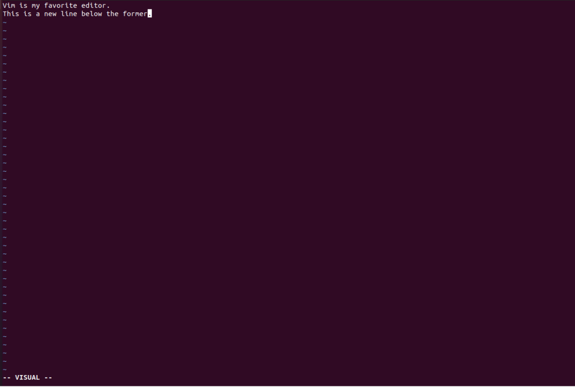 Vi Vs Vim Differences And Similarities Explained Bytexd