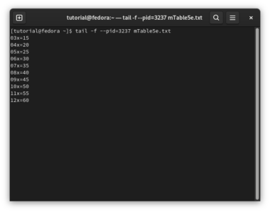 Linux Tail Command (With Examples) - ByteXD