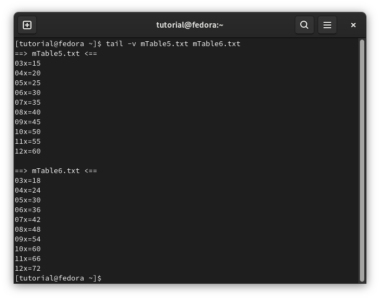 Linux Tail Command (With Examples) - ByteXD
