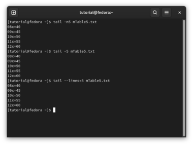 Linux Tail Command (With Examples) - ByteXD