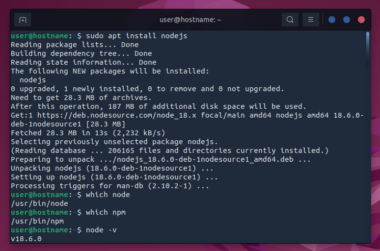 How to Uninstall NodeJS in Ubuntu 22.04 - ByteXD