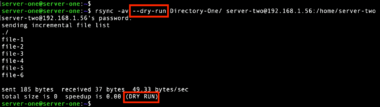 How to Use Rsync Dry Run (‐‐dry-run) with Examples