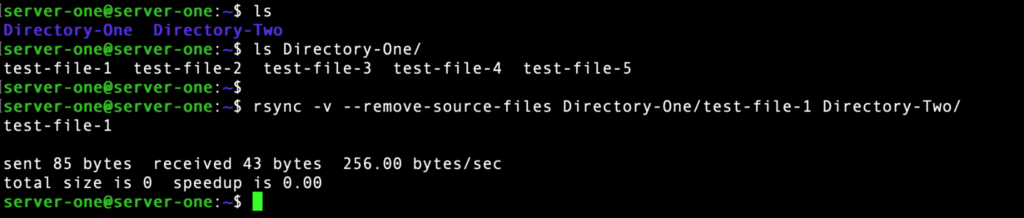 How to Use Rsync Dry Run (‐‐dry-run) with Examples