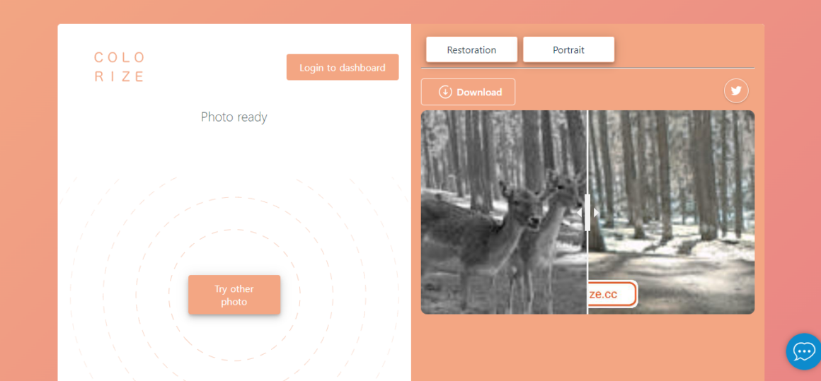 11 Best AI Image Colorizers - Turn B/W Photos to Color - ByteXD