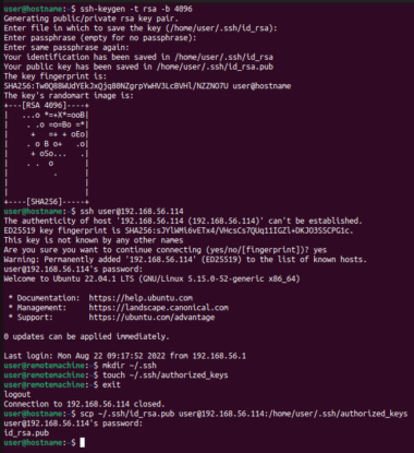 How to Show Progress During File Transfer with Rsync - ByteXD