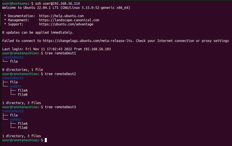 How to Show Progress During File Transfer with Rsync - ByteXD